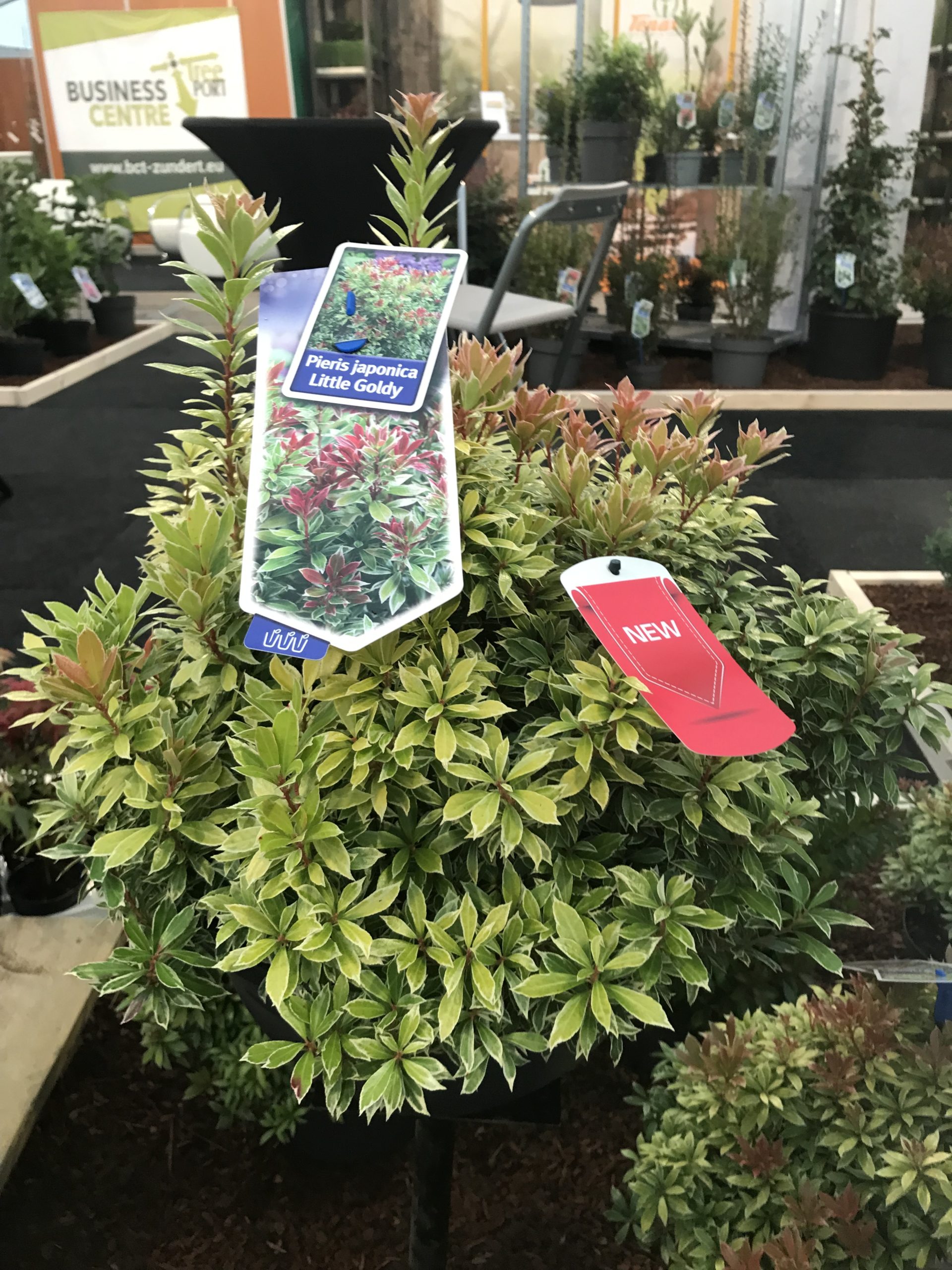 Groot Groen Plus 2021